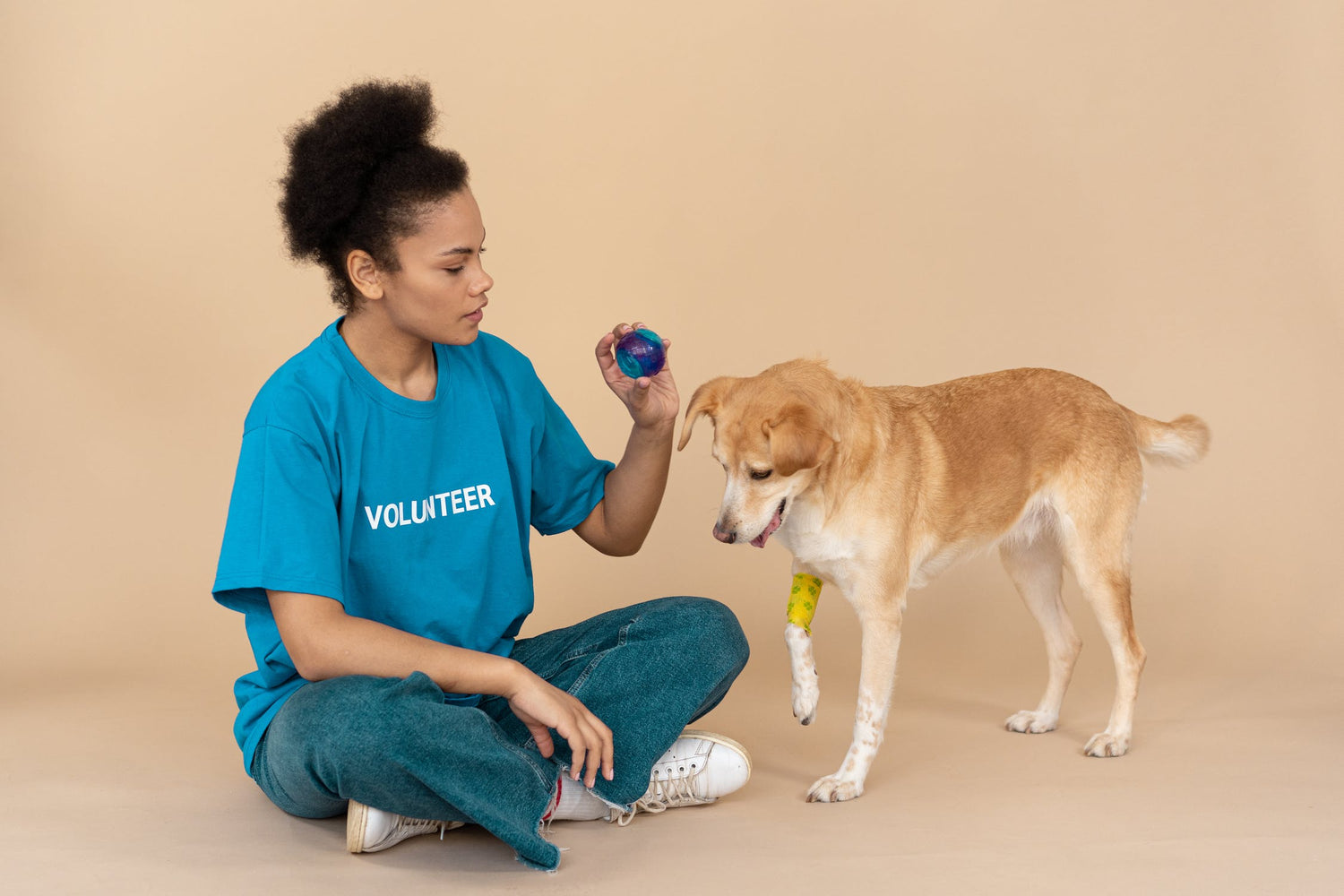 Major Dog Charities In The Uk | Time For Paws – Time for Paws