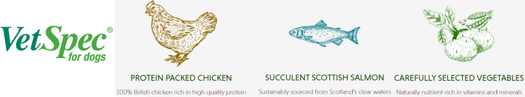 Vetspec Dog Food and Supplements – Time for Paws