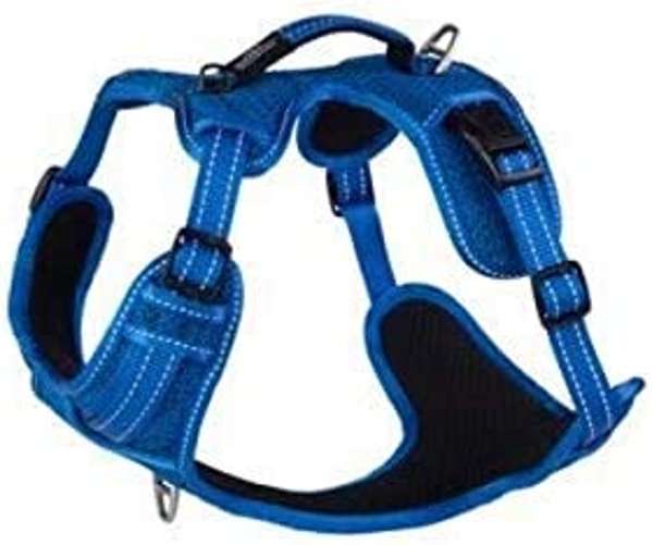 Rogz Utility Explore Harness – Time for Paws